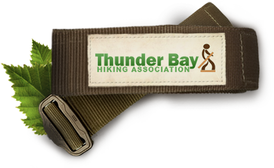 Download Logo - Label - Full Size PNG Image - PNGkit