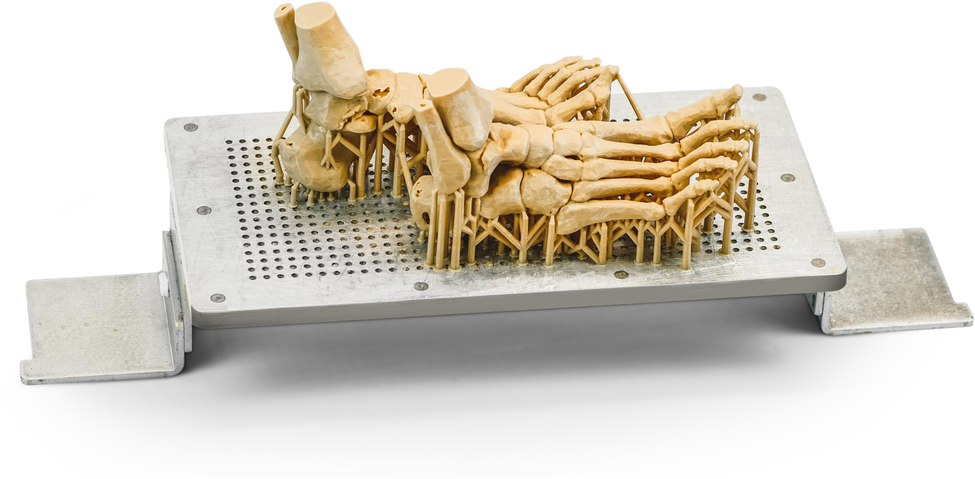 Download Skeleton Foot - Full Size PNG Image - PNGkit