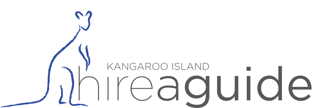 Download Kangaroo Png - Full Size PNG Image - PNGkit