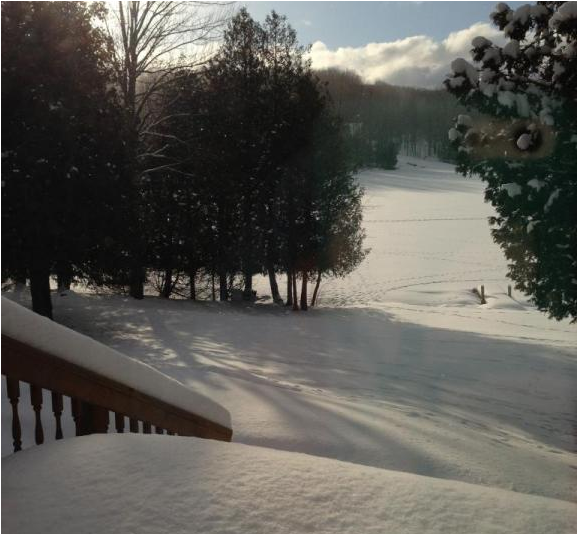 Download Private Lakefront House With Walls Of Windows In Idyllic ...