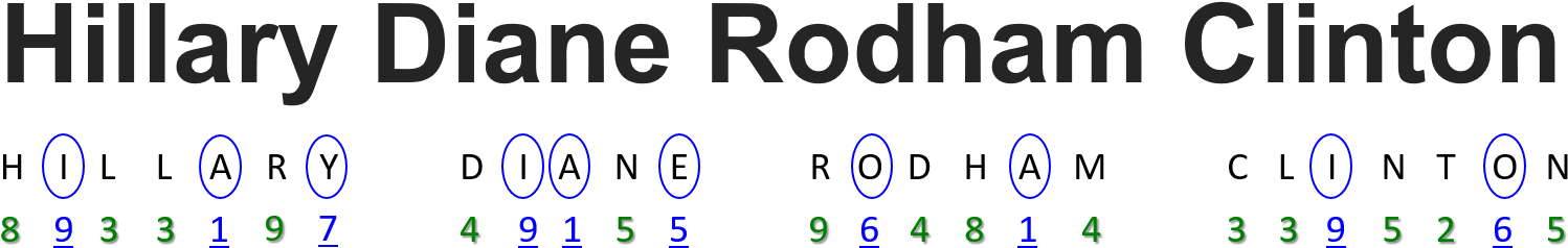 Download Hillary Diane Rodham Clinton - Full Size PNG Image - PNGkit