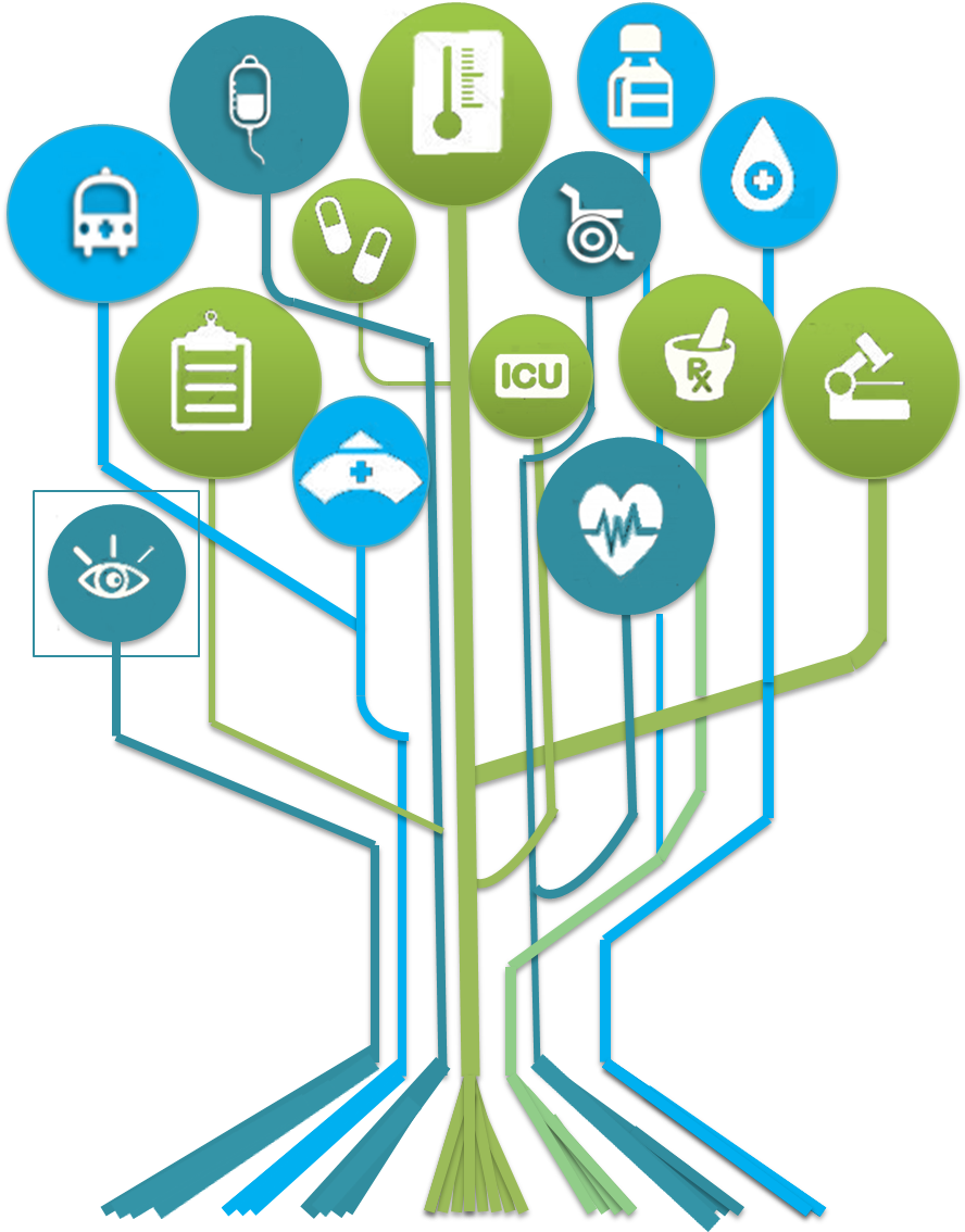 Download Gallary/ 11 Jan 2016 - Diagram - Full Size PNG Image - PNGkit