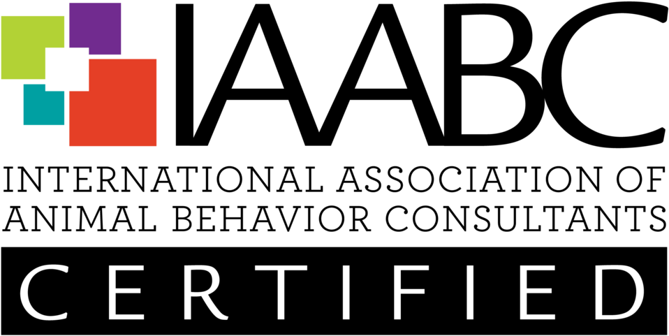 Download Iaabc Newlogo Webcert - Iaabc Logo - Full Size PNG Image - PNGkit