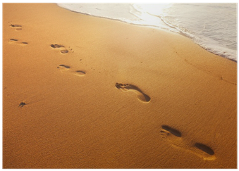 Download Beach, Wave And Footsteps At Sunset Time Poster • Pixers ...