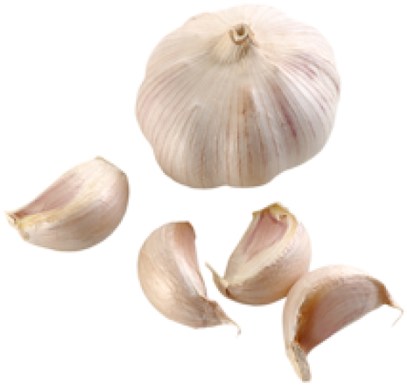 Download Garlic Free Png Image Download - Garlic - Full Size PNG Image ...