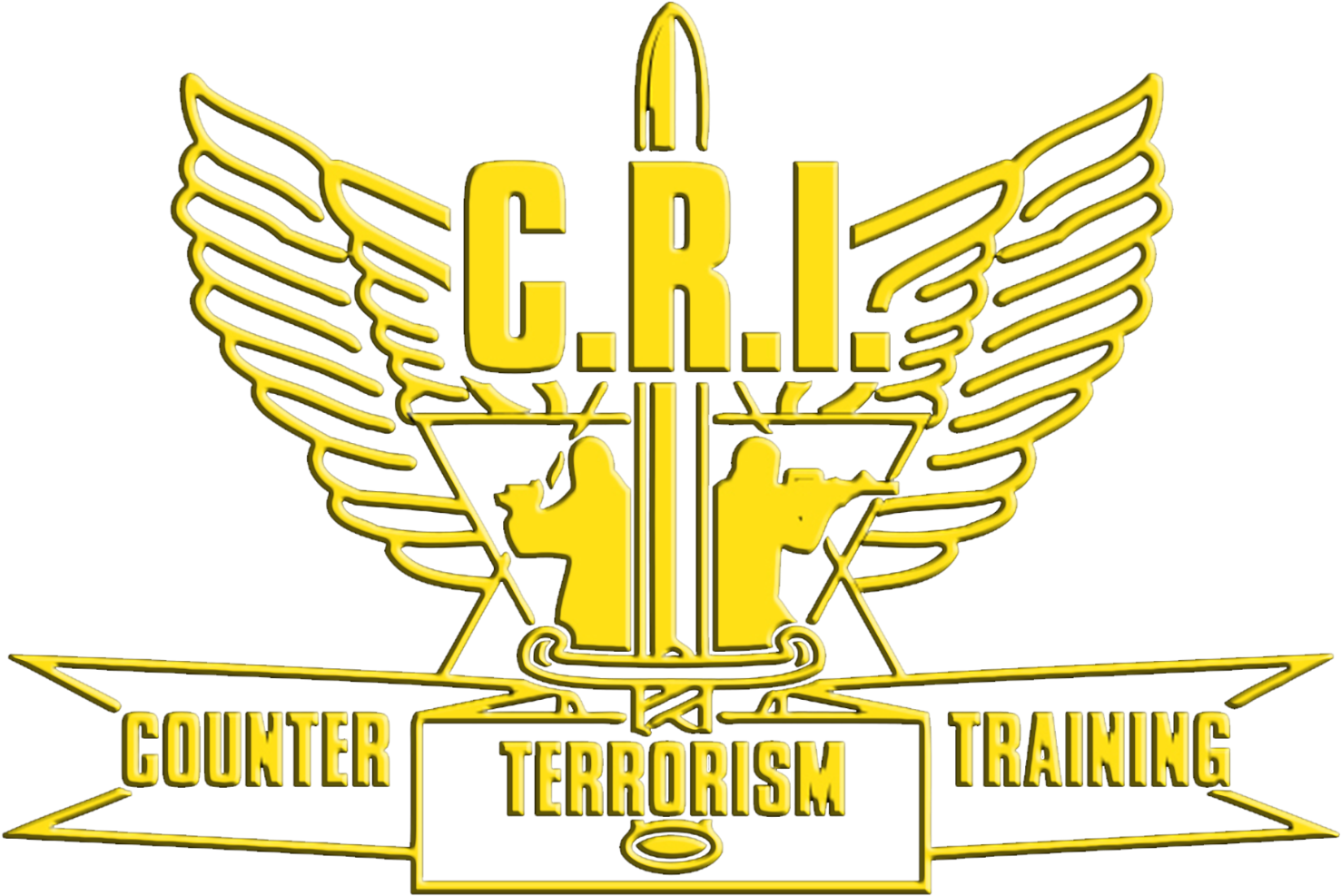 Download Cri Counter Terrorism Training School Tactical Ⓒ - Emblem ...