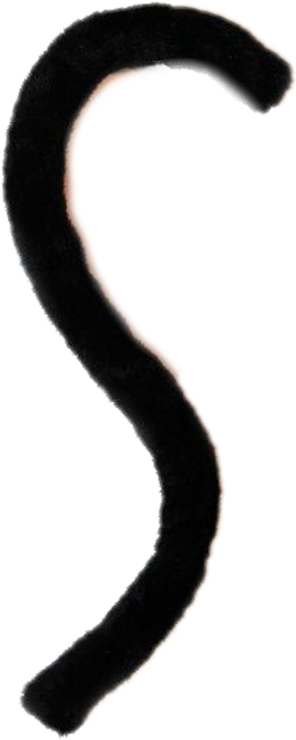 Download Transparent Cattail Sticker - Cat - PNGkit