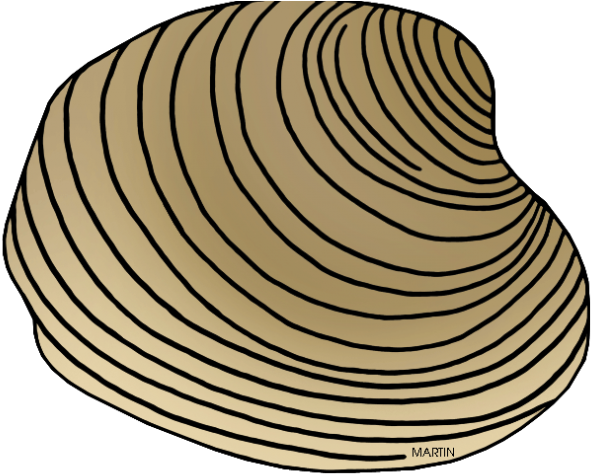 Download Shell Clipart Phillip Martin - Full Size PNG Image - PNGkit