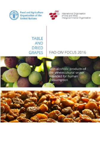 Download Consult The 2016 Focus - United Nations Redd Programme - Full ...