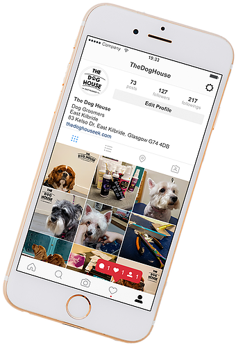 Download Insta - Iphone - Full Size PNG Image - PNGkit