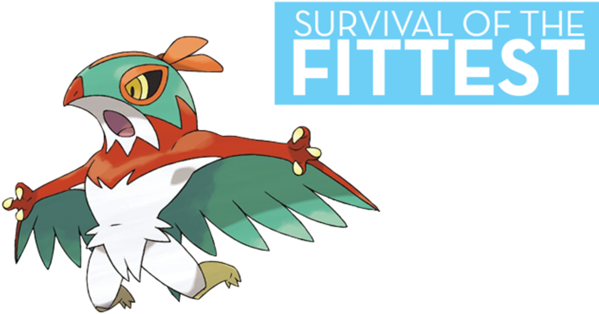 Download Hawlucha Evolution - Full Size PNG Image - PNGkit