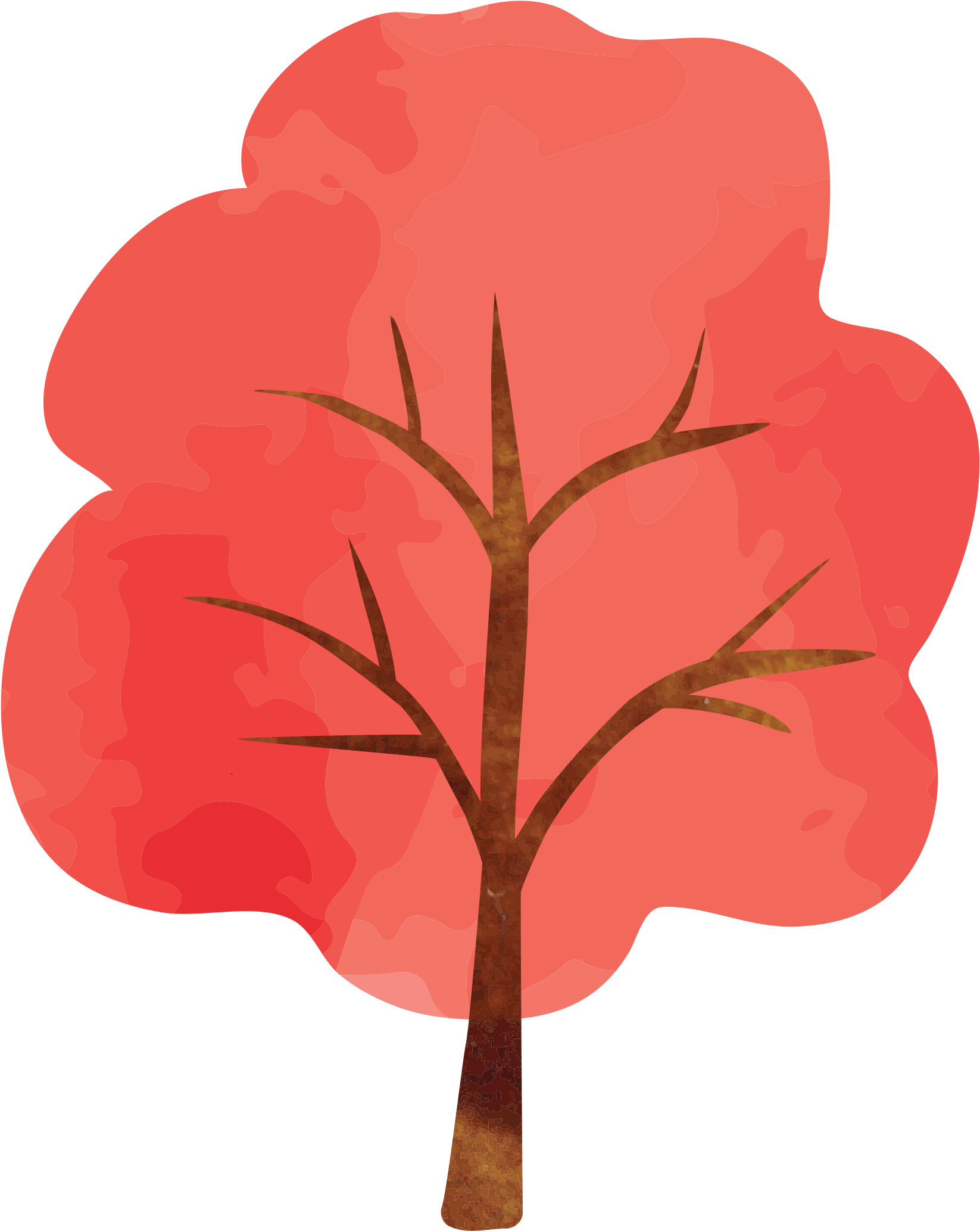 Download Red Maple Photography - Illustration - Full Size PNG Image ...