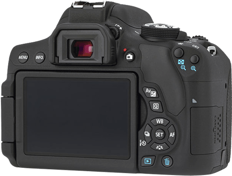 Download Overview Film With Alice Pasquini - Digital Slr - Full Size ...