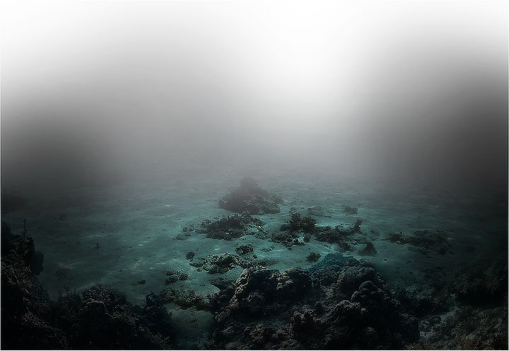 Download Seabed - Underwater - Full Size PNG Image - PNGkit