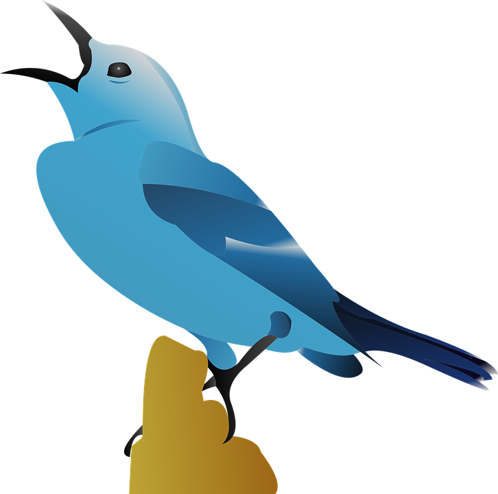 Download Bird Vector Png - Gambar Burung Vektor - Full Size PNG Image ...