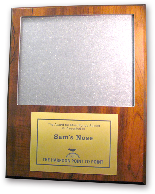 Download Picture Frame - Full Size PNG Image - PNGkit