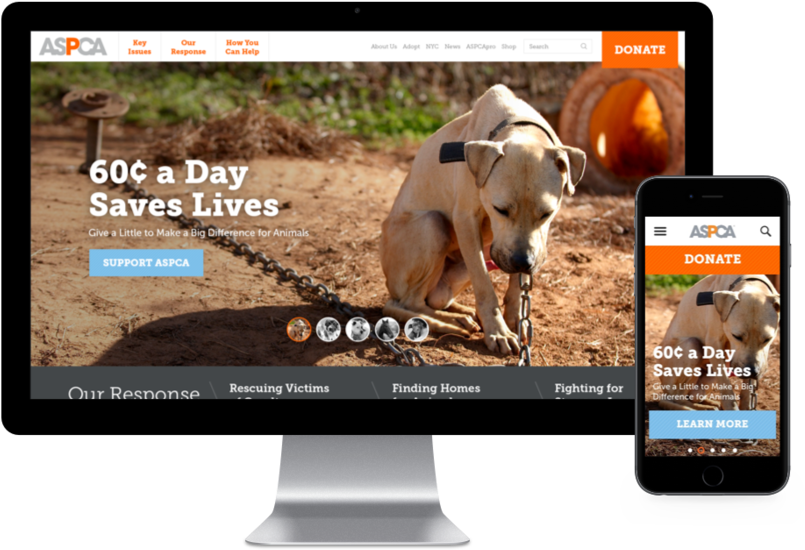Download Aspca Site Display - Dog - Full Size PNG Image - PNGkit