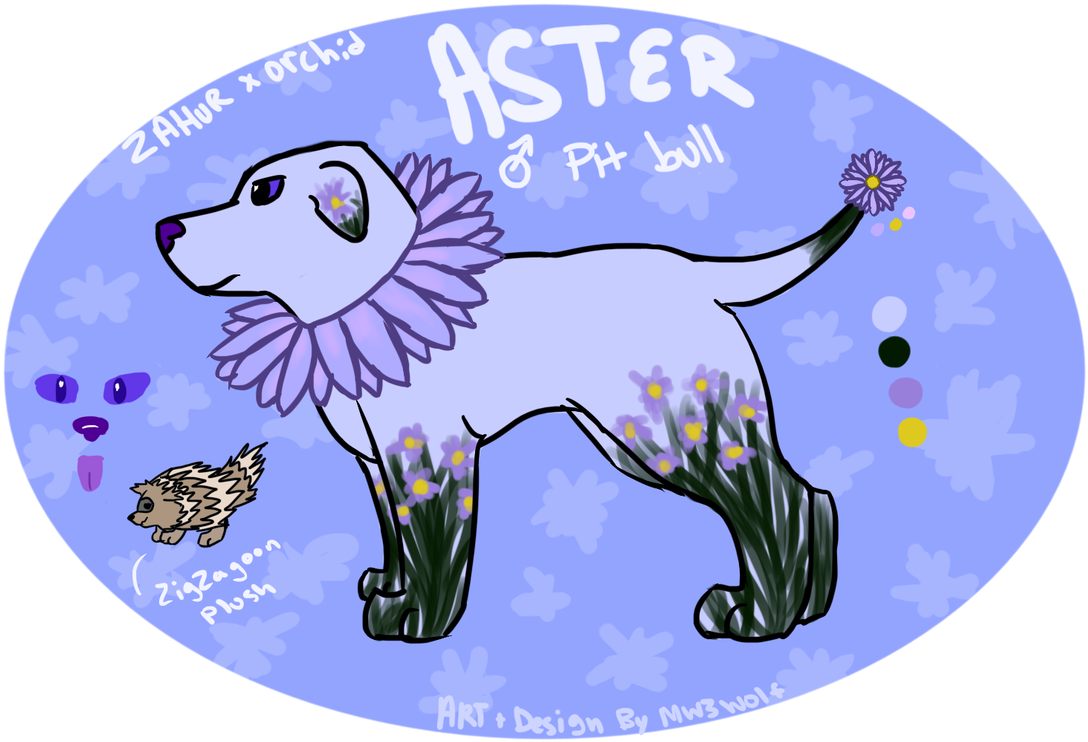 Download Aster And Gloria Are Twins The Two Are Never Apart - Dog ...