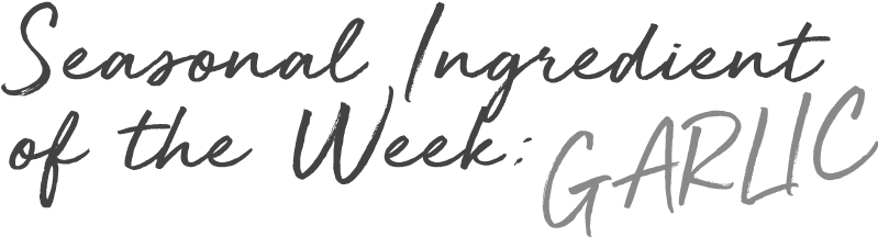 Download Seasonal Text Garlic - Calligraphy - Full Size PNG Image - PNGkit