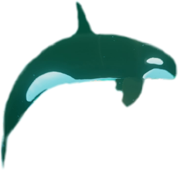 Download Killer Whale - Full Size PNG Image - PNGkit