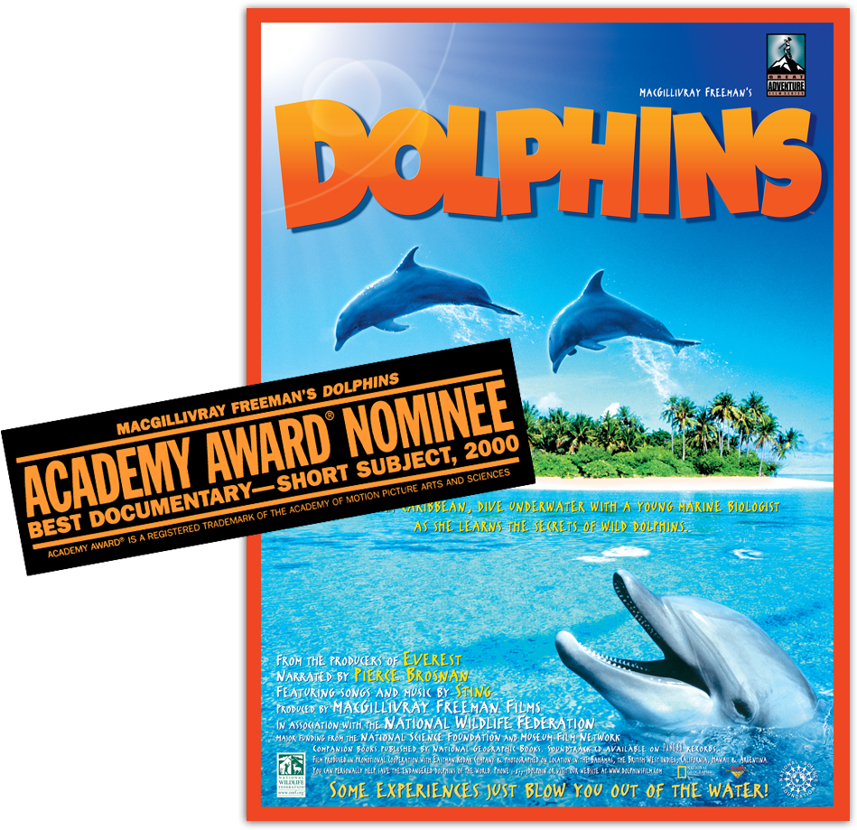 Download Dolphins Poster - Dolphins - (region 1 Import Dvd) - Full Size ...