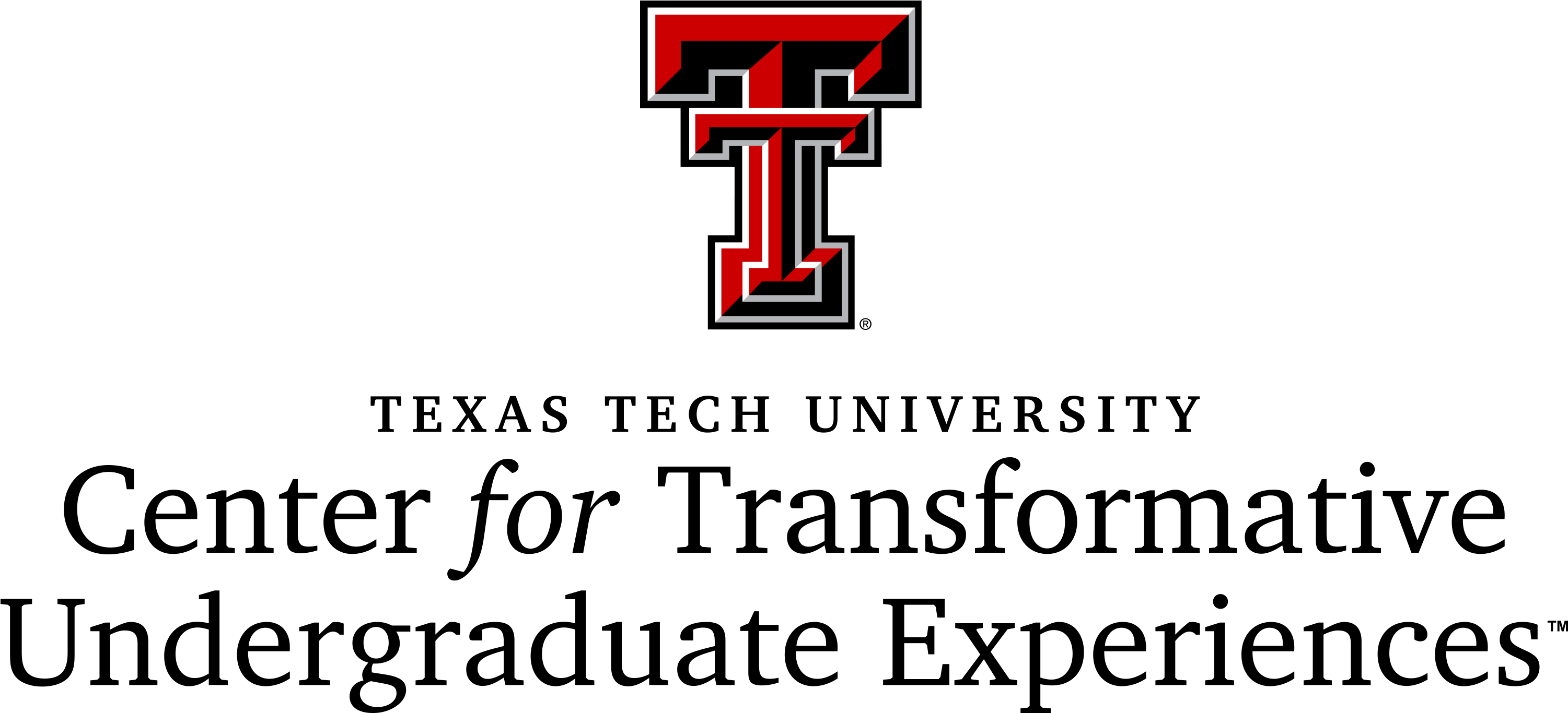 Download The Texas Tech University Innovation Hub And The Center ...