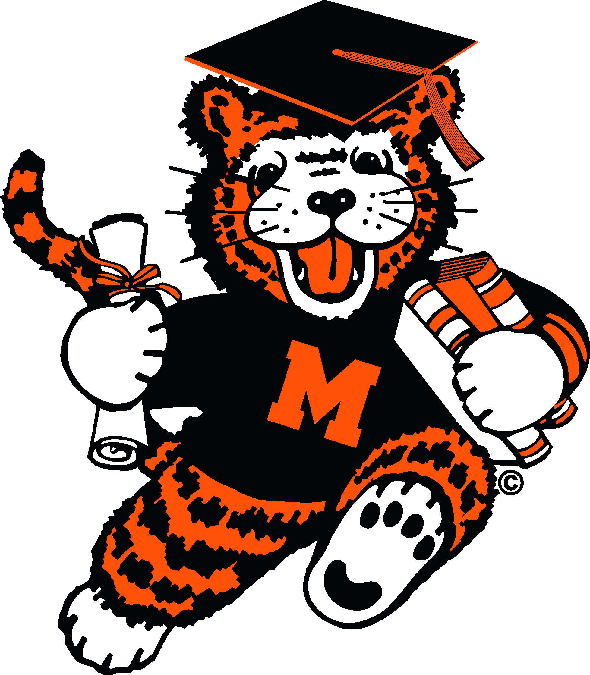 Download No Background Png - Massillon Tigers Png - Full Size PNG Image ...