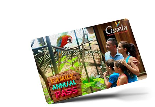 Download Annual Family Pass - Flyer - Full Size PNG Image - PNGkit