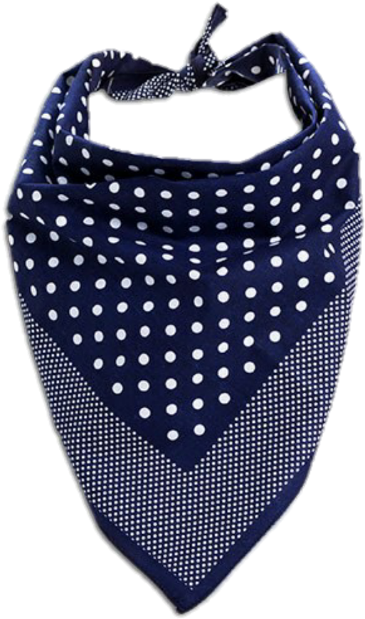 Download Kerchief - Full Size PNG Image - PNGkit