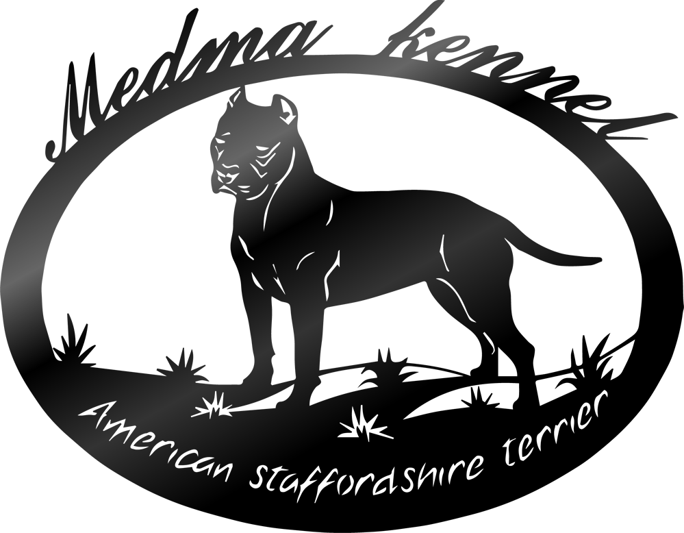 Download Medma Kennel - Dogo Argentino - Full Size PNG Image - PNGkit