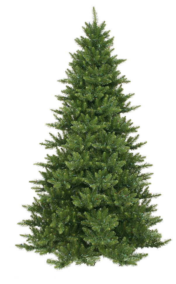 Download Pinos Png - Pine Tree - Full Size PNG Image - PNGkit