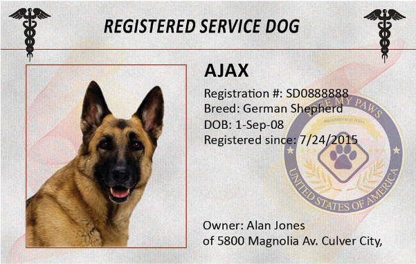 Download Bronze Service Dog Identification Kit - German Shepherd Puppy ...