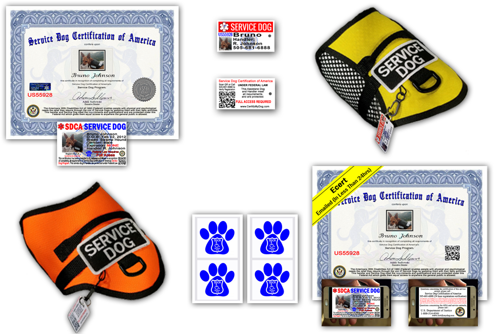 Download Sale Service Dog Stickers - Guitar String - Full Size PNG ...