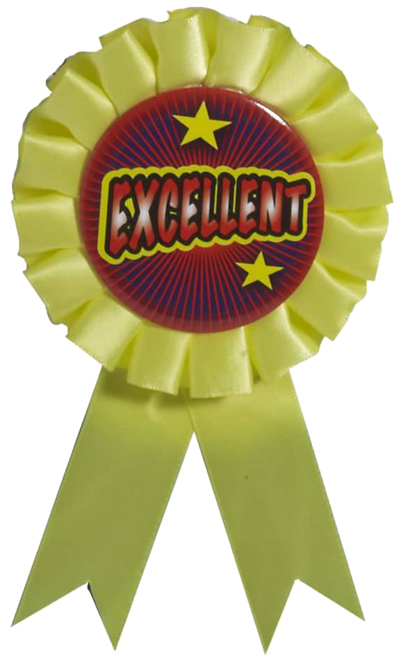Download Award Ribbon Png Hd - Good Work Award Ribbons - Full Size PNG ...