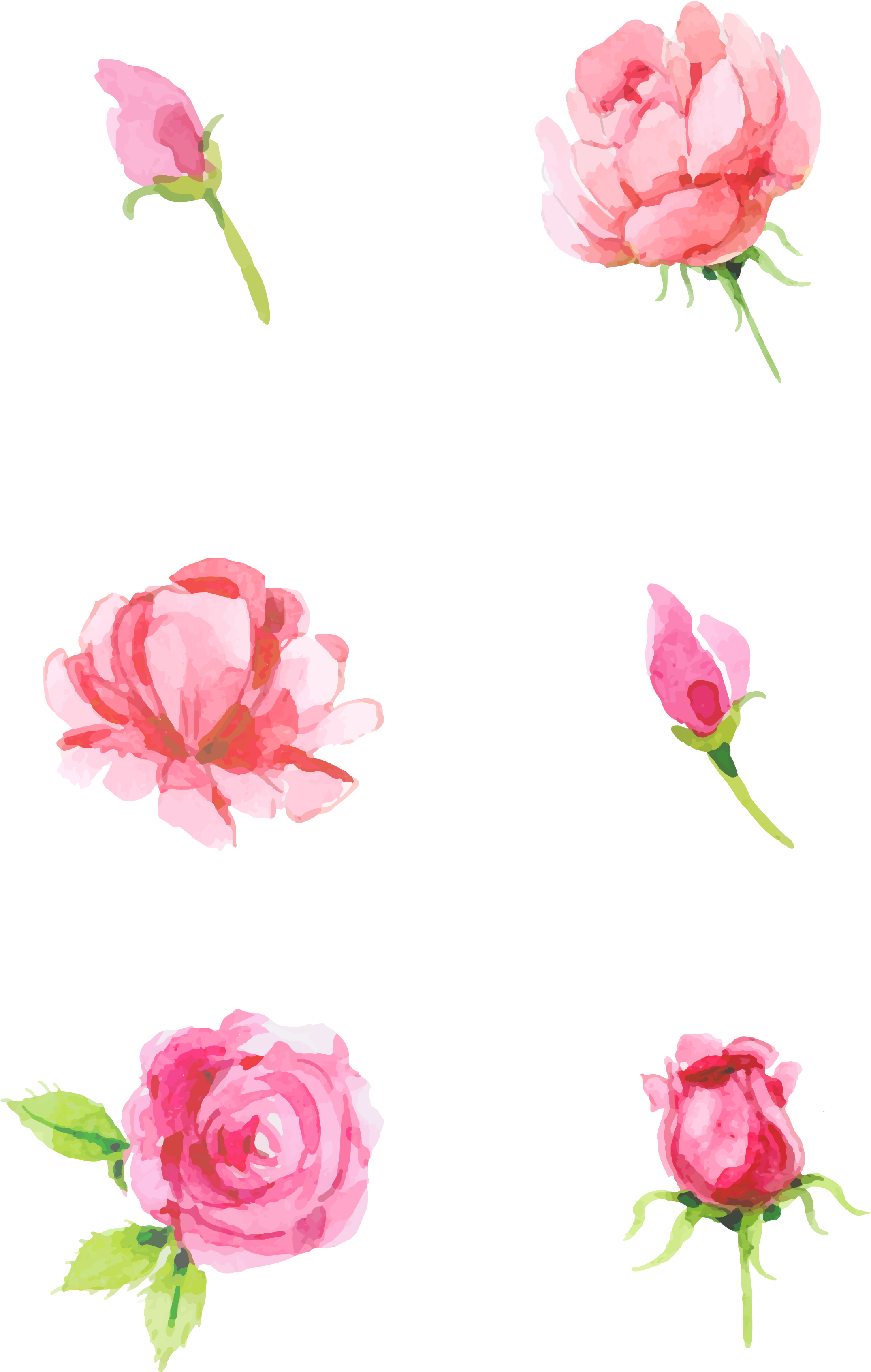 Download Rose Pink Element Minimalist Png And Psd - Hybrid Tea Rose ...