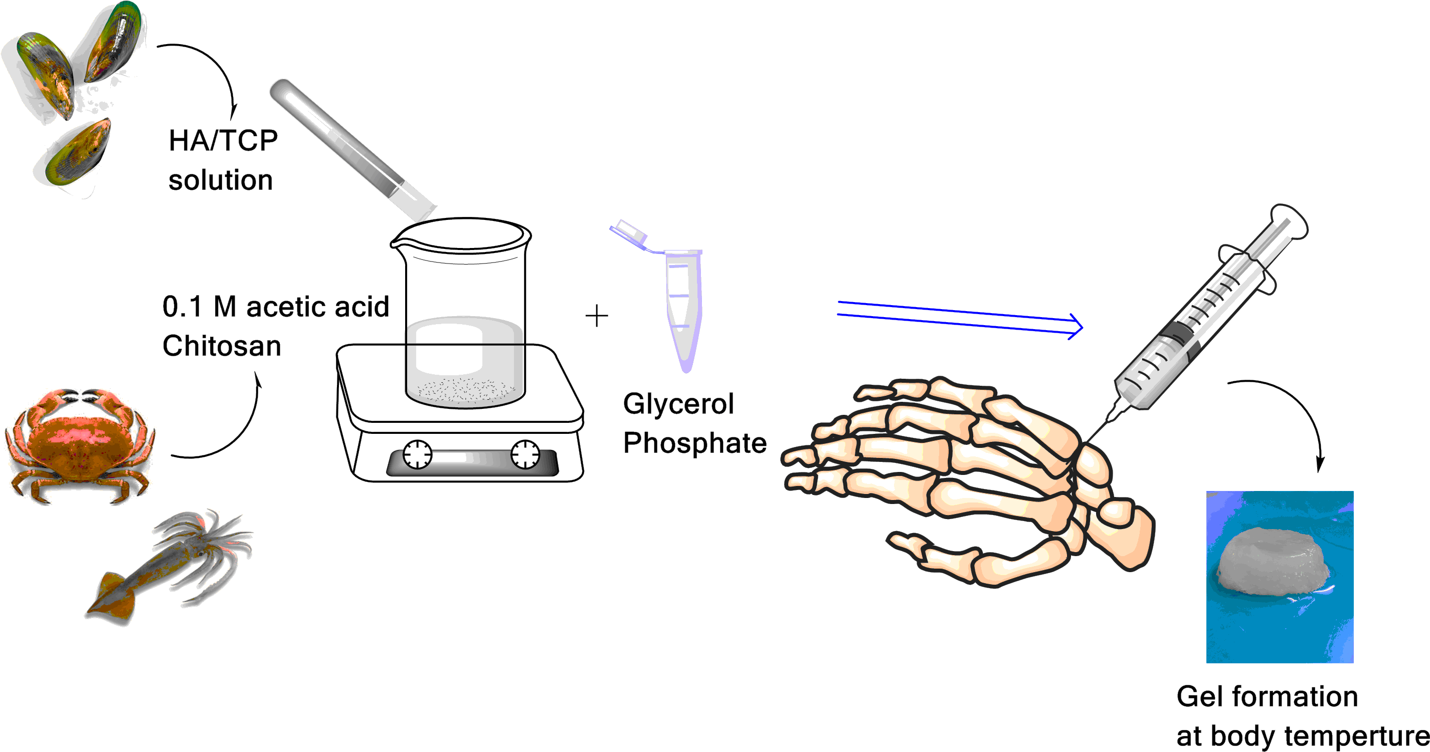 Download The Surface Morphology And Microstructure Of The Gels ...