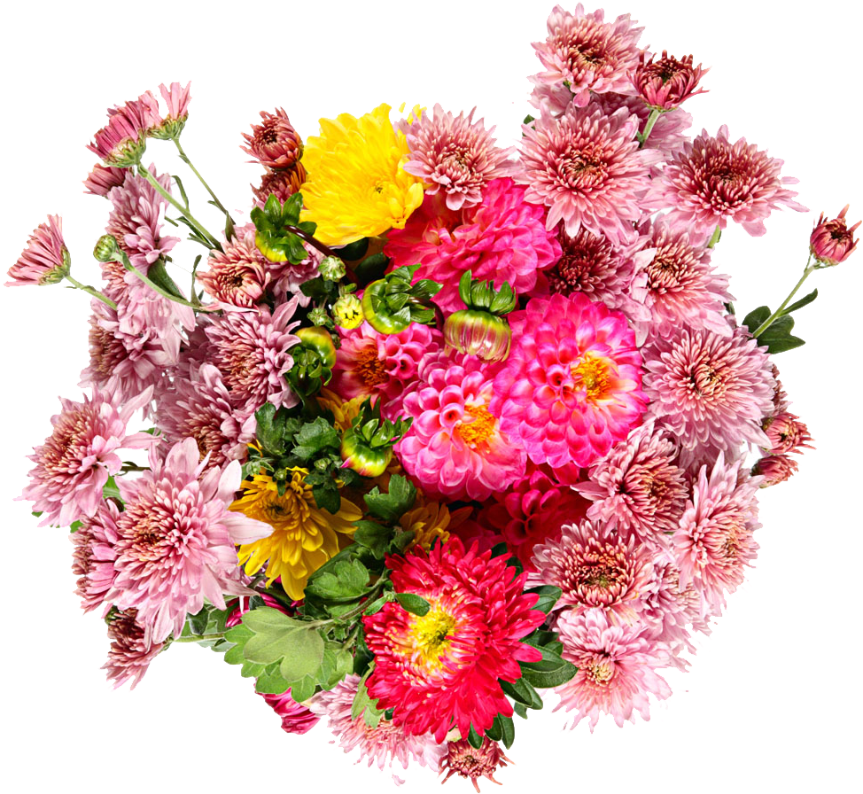 Download Photography - Full Size PNG Image - PNGkit