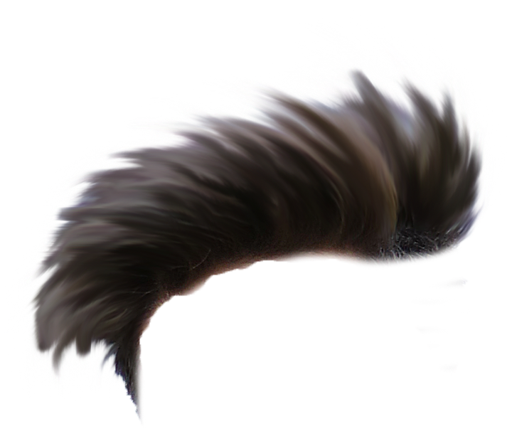 Download All Heir Png - Hair Png One Side - Full Size PNG Image - PNGkit