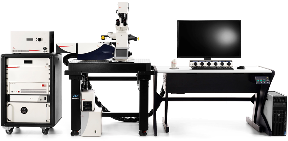 Download Super-resolution Microscopy Overcomes The Diffraction - Table ...