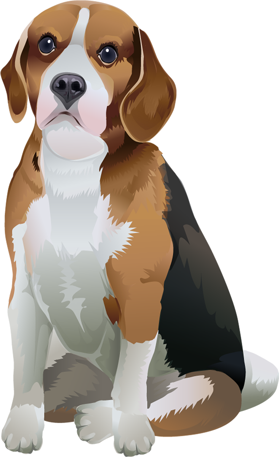 Download 1000 X 1538 6 - Beagle Vector Png - Full Size PNG Image - PNGkit