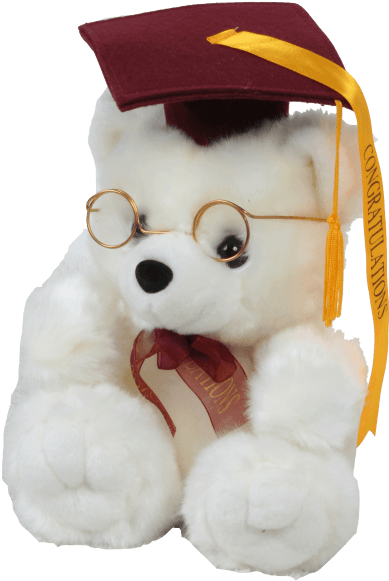 Download Grad Bear - Stuffed Toy - Full Size PNG Image - PNGkit