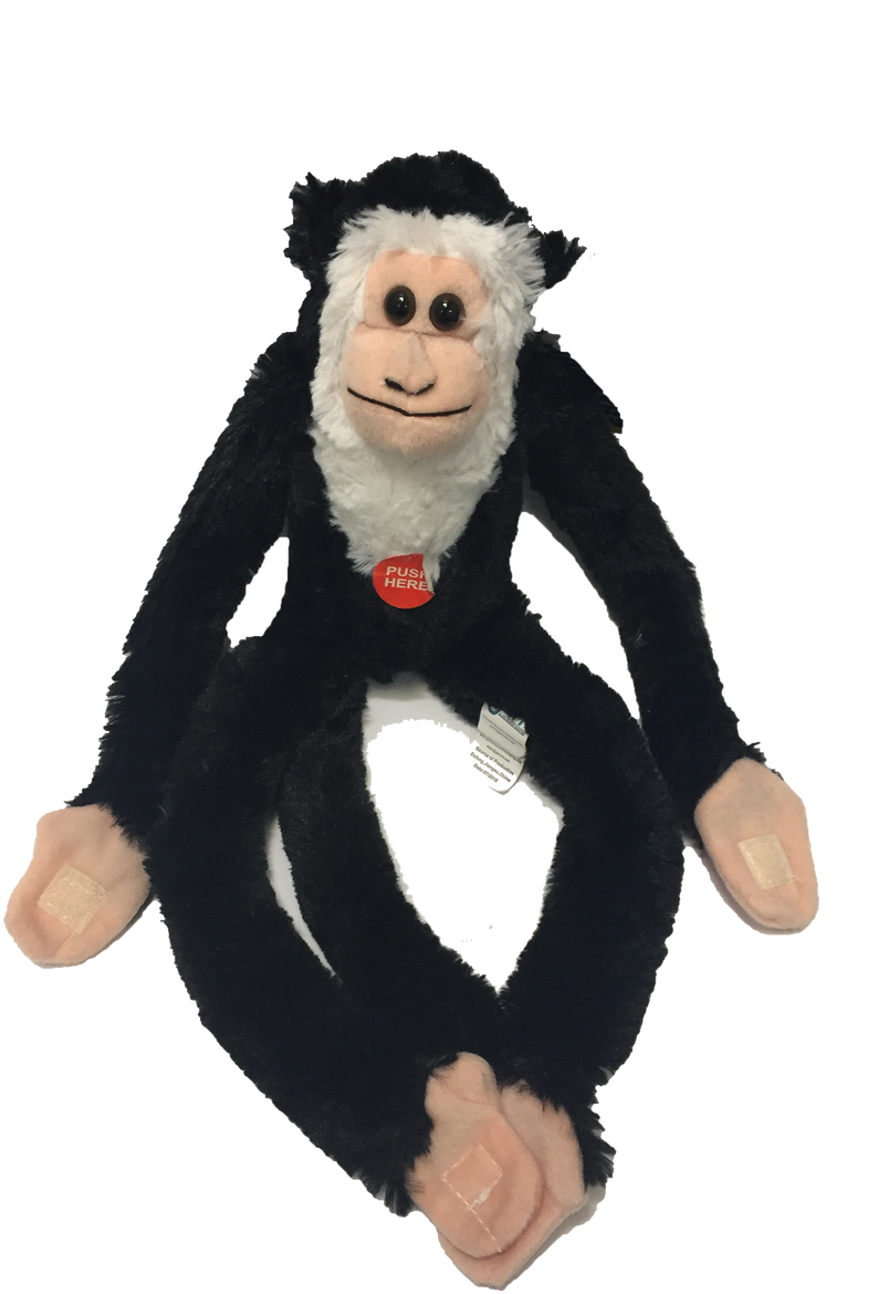 Download Stuffed Toy - Full Size PNG Image - PNGkit