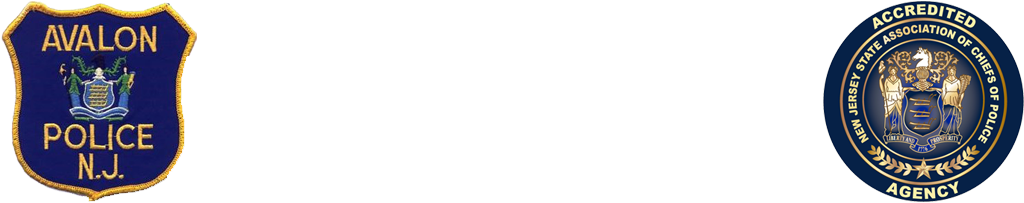 Download Avalon Police Department N - Avalon Police Department - Full ...