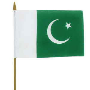 Download Pakistan Hand Flag - Satin Pakistan Flag - 6x9" - Full Size ...
