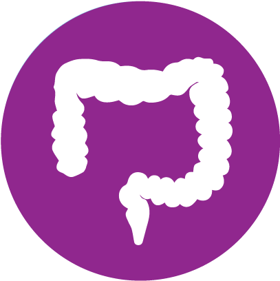 Download Transparent Digestive System - $2 - 50 - Ceu - - Colon Cancer ...