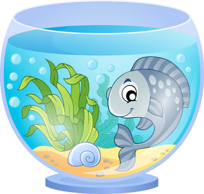 Download Fish Aquarium Png - Fish In Aquarium Cartoon - Full Size PNG ...