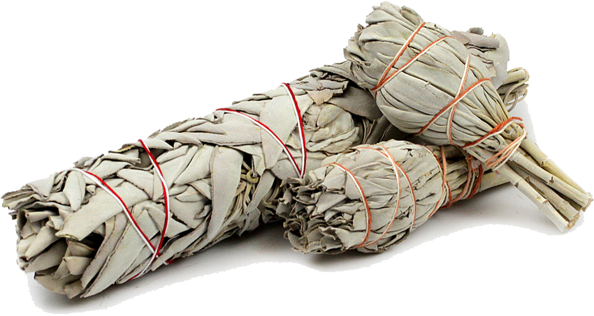 Download White Sage Smudge Stick - Full Size PNG Image - PNGkit