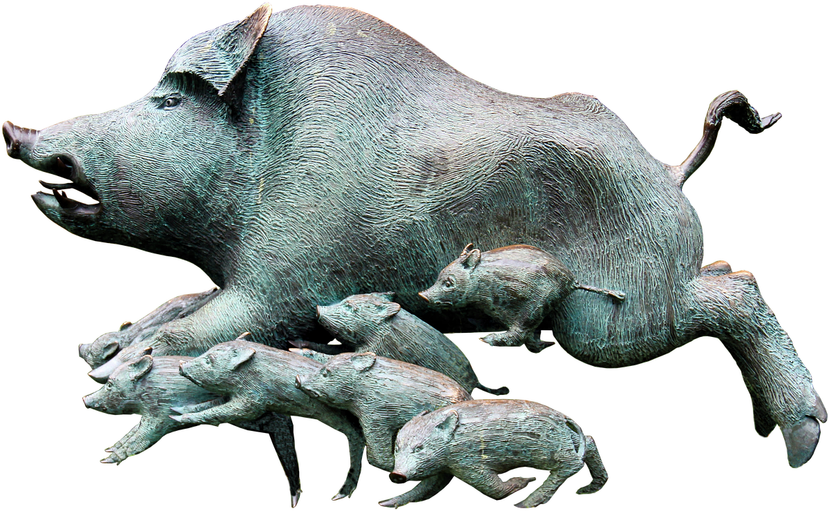 Download Wild Rotting Pig, Boar, Rotte, Pack, Little Pig - Rotting Hog ...