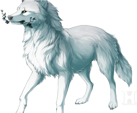 Download Anime Boy Clipart Wolf - Wolf - Full Size PNG Image - PNGkit