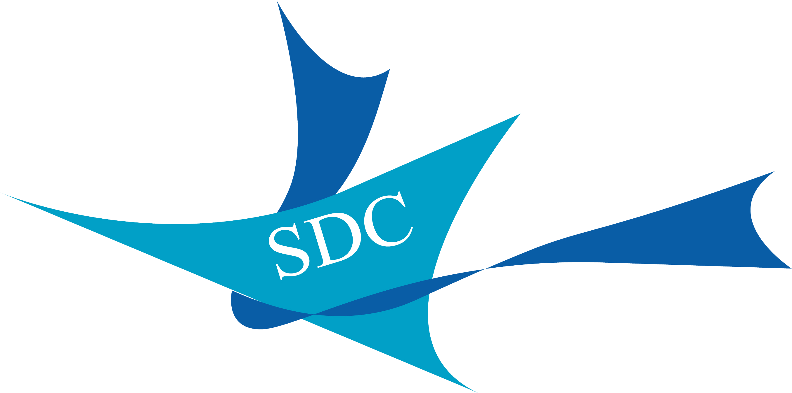 Download Sdc Blue Ribbon Foundation Logo - Graphic Design - Full Size ...